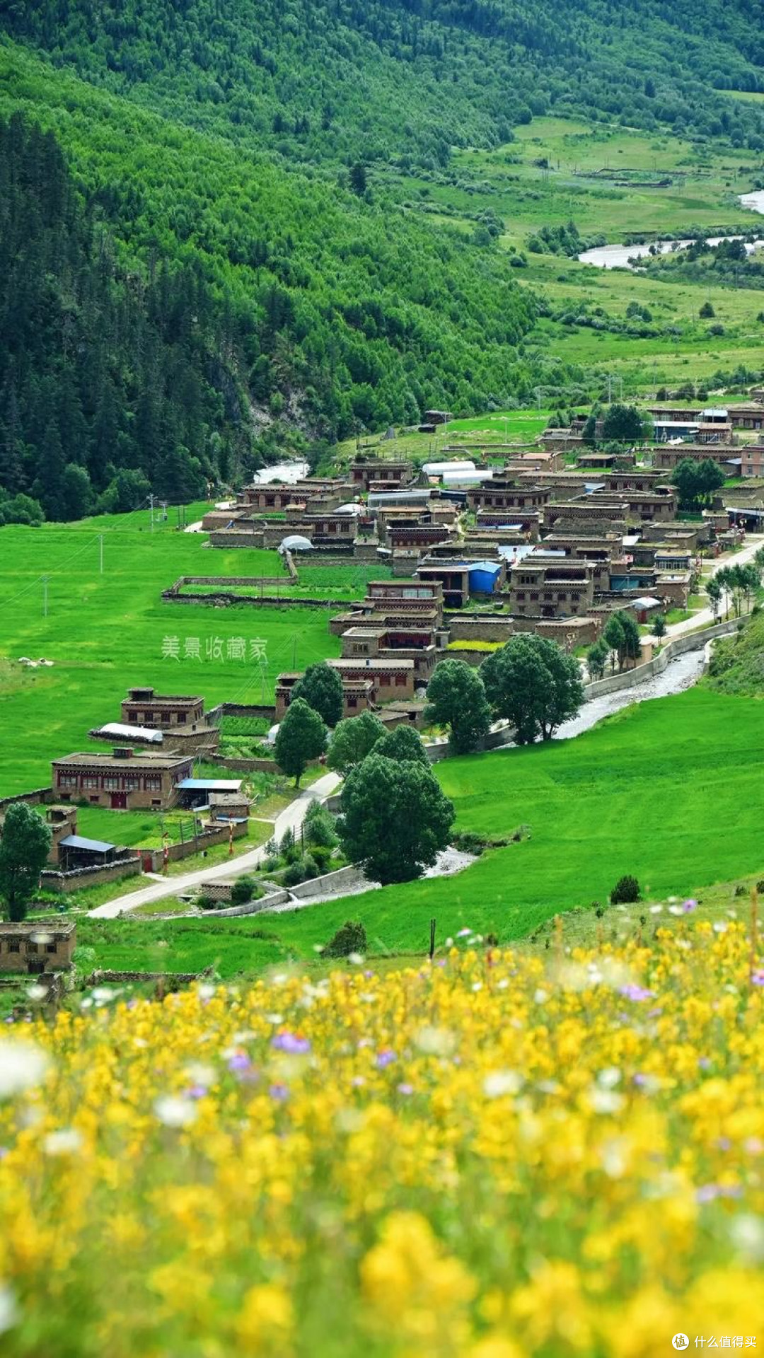 Docker NAS，小白也能？_NAS存储_什么值得买