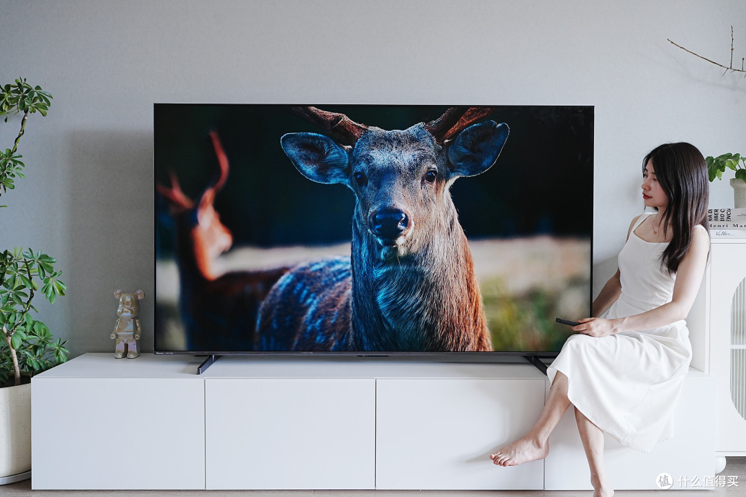 杀疯了！Mini LED电视的新卷王 海信电视小墨E5QPro深度体验_液晶电视_什么值得买