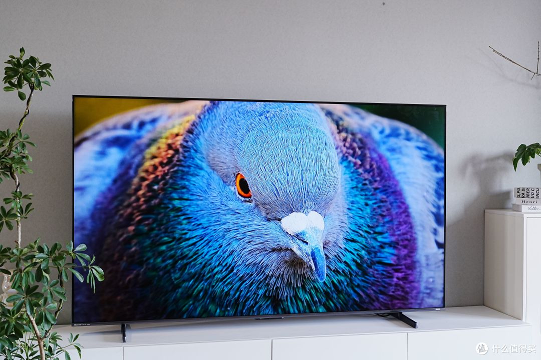 杀疯了！Mini LED电视的新卷王 海信电视小墨E5QPro深度体验_液晶电视_什么值得买