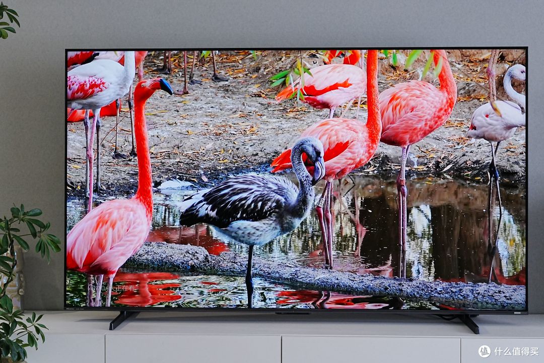 杀疯了！Mini LED电视的新卷王 海信电视小墨E5QPro深度体验_液晶电视_什么值得买