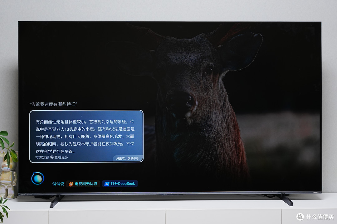 杀疯了！Mini LED电视的新卷王 海信电视小墨E5QPro深度体验_液晶电视_什么值得买