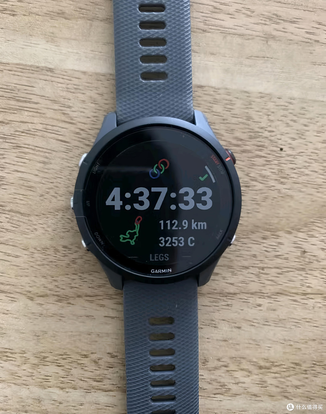 运动手表是伪需求？佳明FR255用数据打了我的脸_仪表_什么值得买