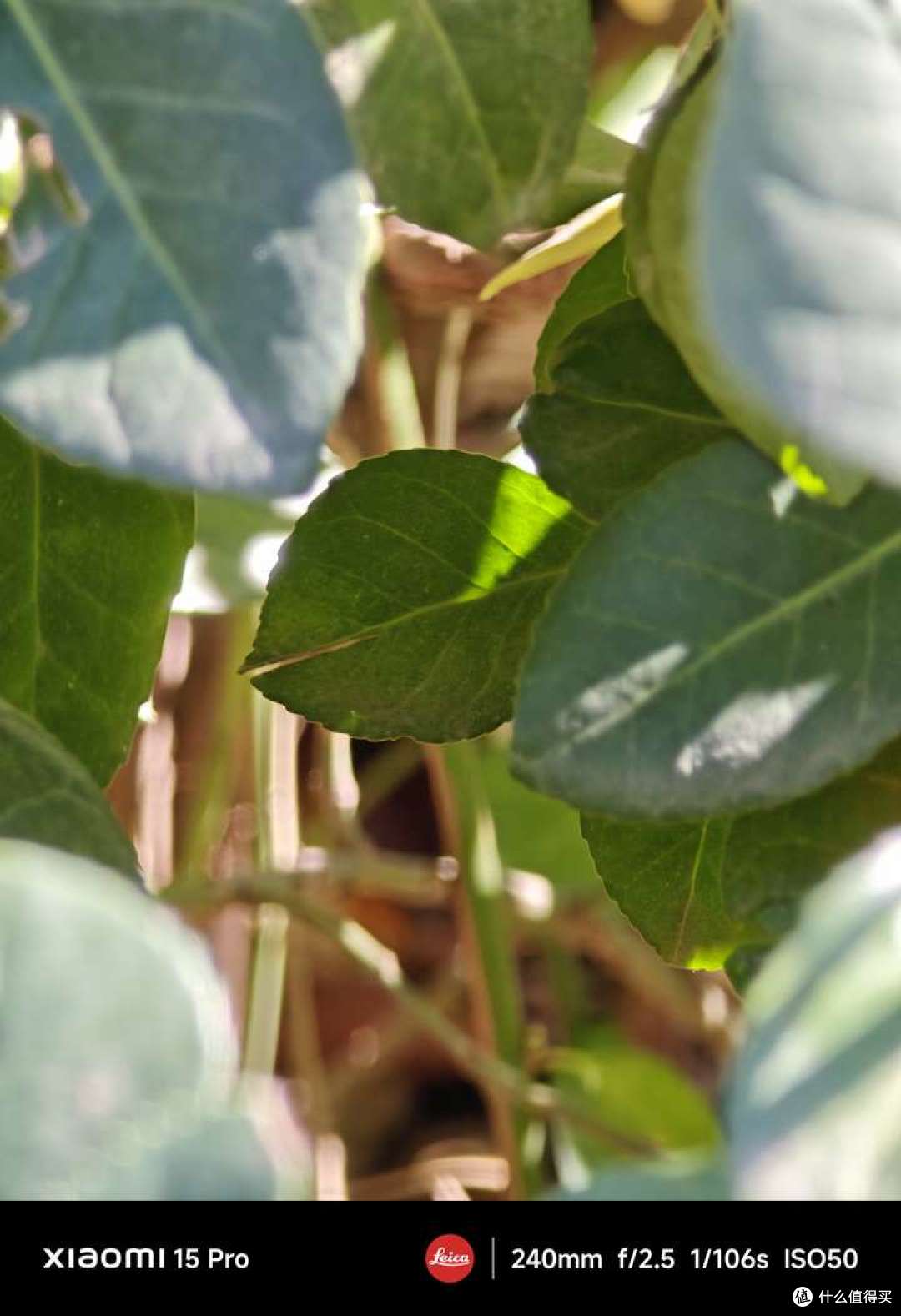 首款 3nm 旗舰处理器玄戒O1 正式发布，分享一下我用过的小米手机_手机_什么值得买