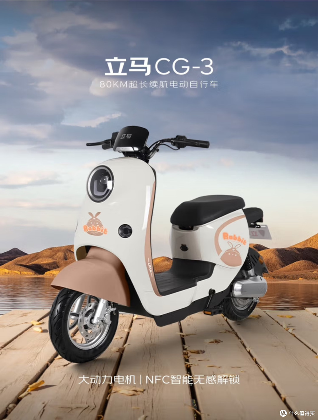低价电动车推荐立马电动自行车CG-3 _电动车整车_什么值得买