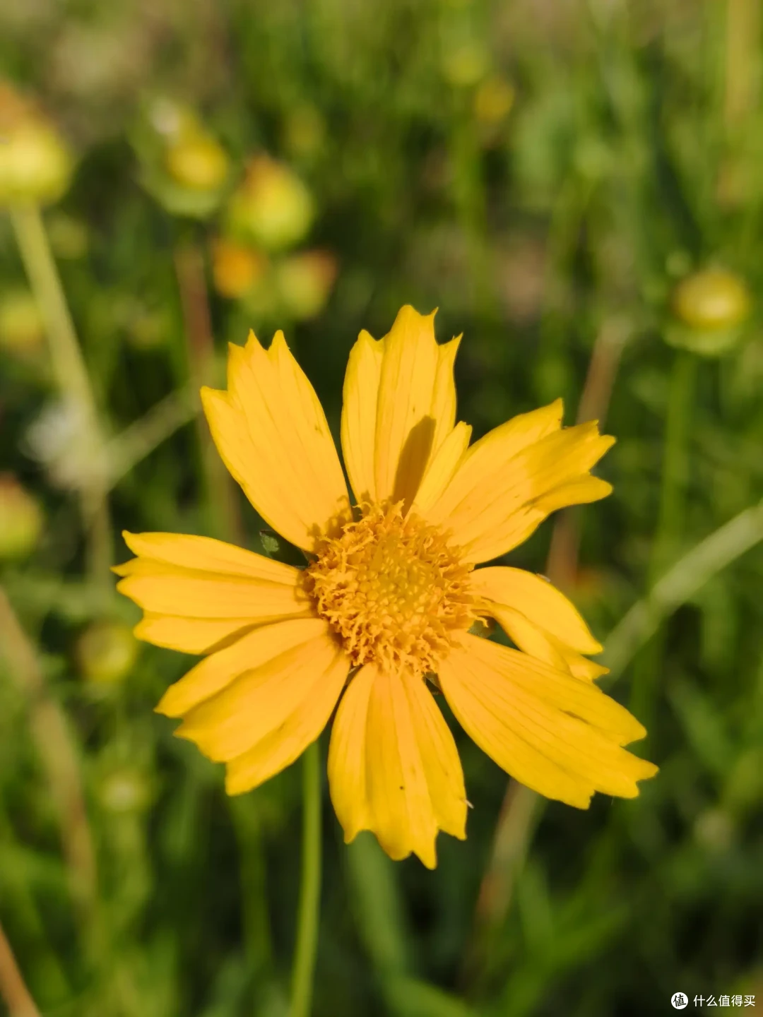 一加 Ace5 至尊版深度测评：全面释能，这才是2025的“西装暴徒”_安卓手机_什么值得买