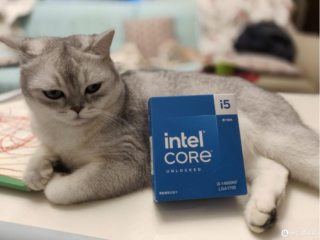 618千元神U！i5-14600KF：游戏玩家狂喜_CPU_什么值得买