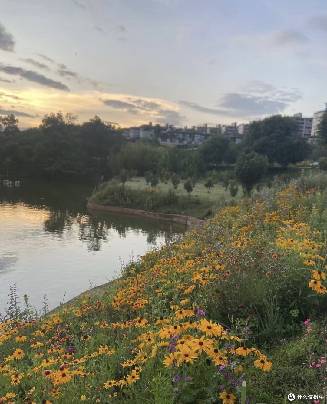 中国八大智能辅助驾驶品牌榜单：Momenta居首_新能源车_什么值得买