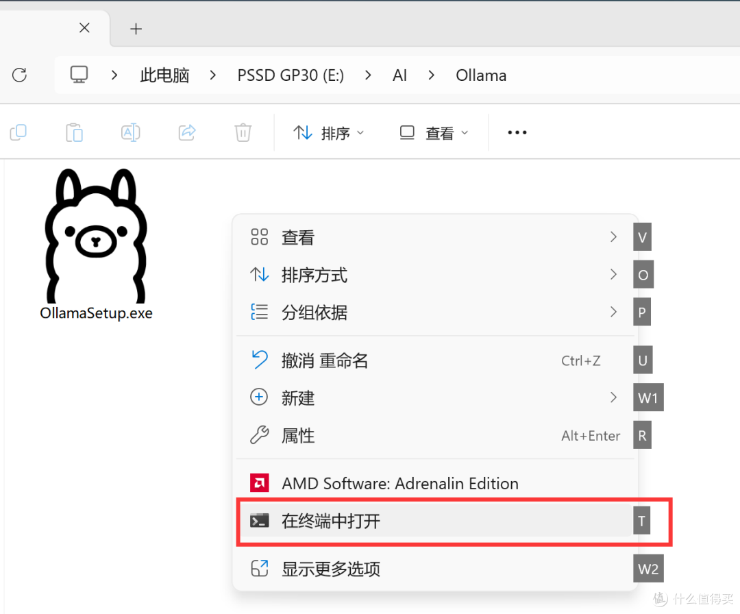 用宏碁掠夺者 GP30 2TB PSSD 打造便携 AI 本地大模型_移动硬盘_什么值得买