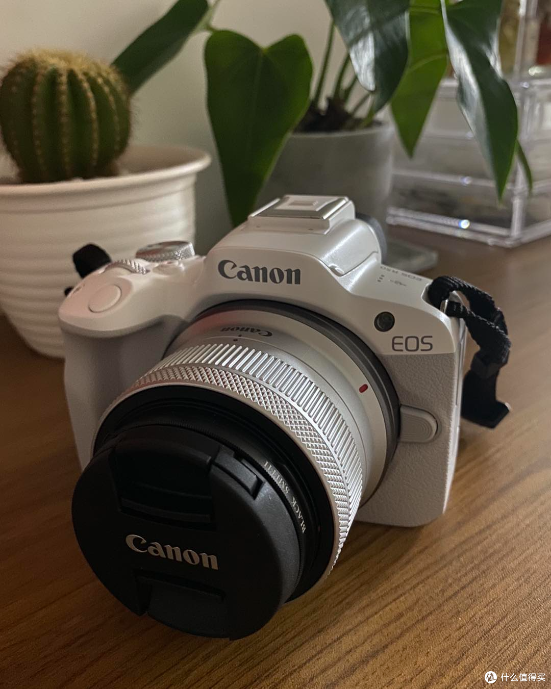 相机选不好，全白买！2025 年最全 APS-C & M43 微单避坑指南_单电相机_什么值得买