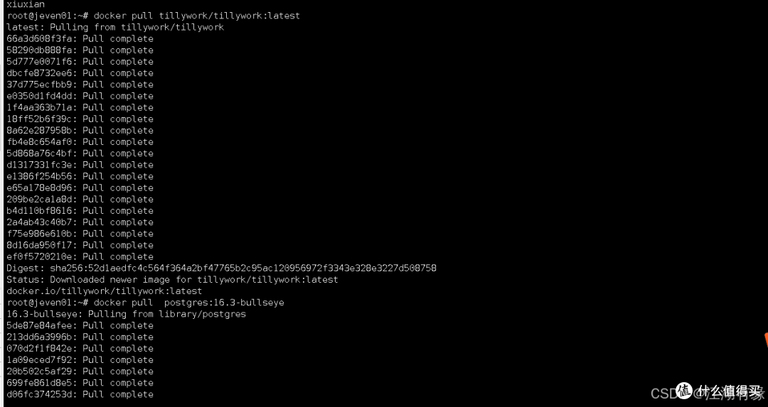 技术分享：基于Docker的TillyWork部署方案，让你的工作更有序_NAS存储_什么值得买