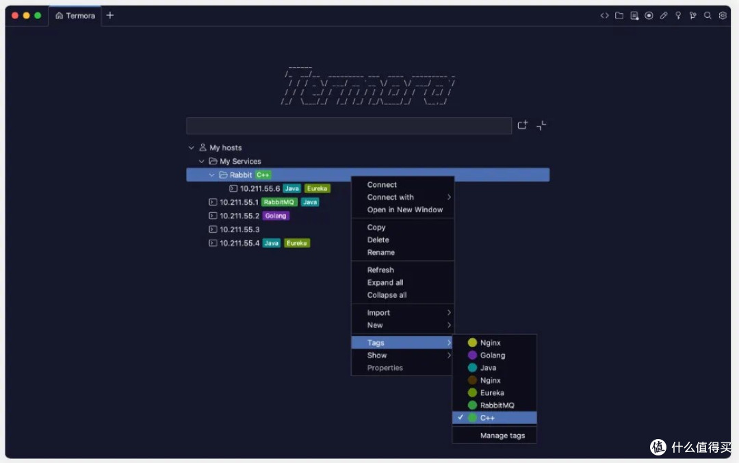 Termora：跨平台SSH神器？_服务软件_什么值得买