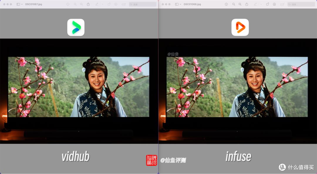 infuse替代者？vidhub的200天长测与深度对比报告（送激活码）_电视盒子_什么值得买