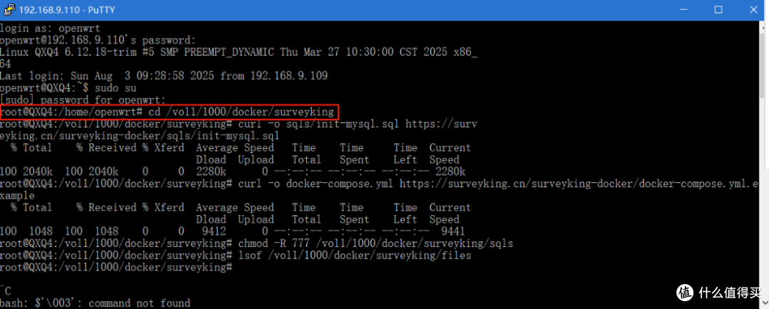 [有手就会教程]飞牛Docker部署surveyking，修改容器外数据库_网络存储_什么值得买