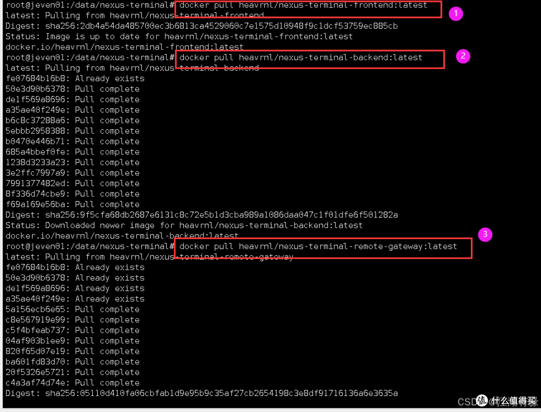 Docker环境下部署Nexus Terminal：打造专属的高颜值SSH工作站_网络存储_什么值得买