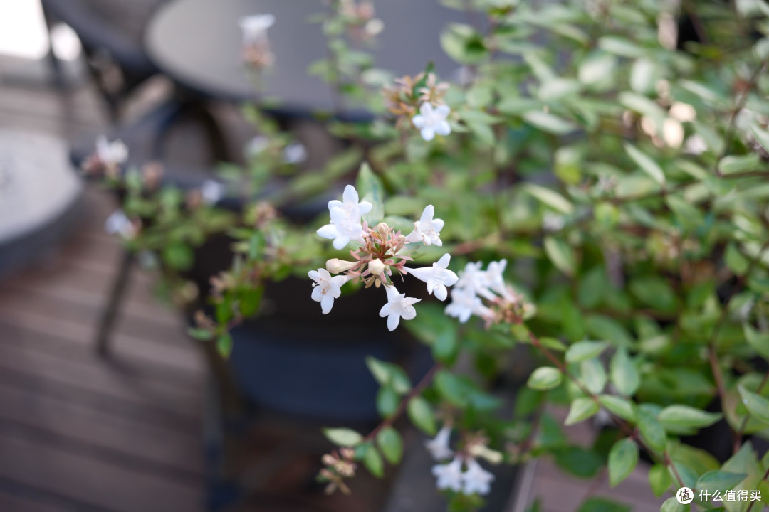 富士XE5上手体验_无反相机_什么值得买