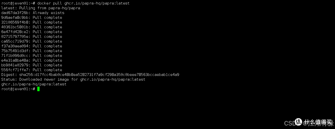 Docker一键部署Papra：极简文件归档平台搭建全攻略_服务软件_什么值得买