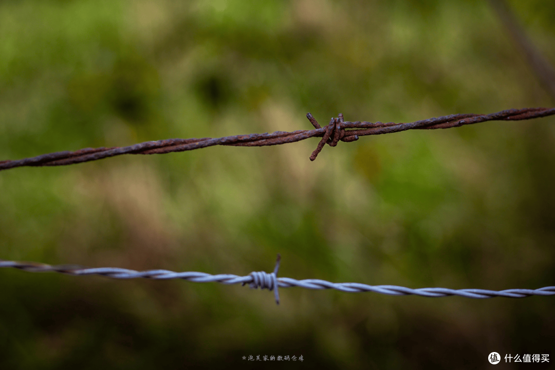 售价1万7 补齐了A7M4缺点 佳能R6 III体验 兼顾拍照+视频_无反相机_什么值得买